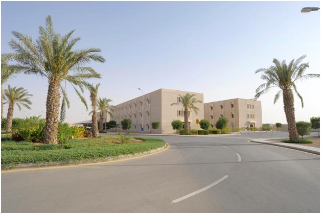 Home Test | Najran Cement Company