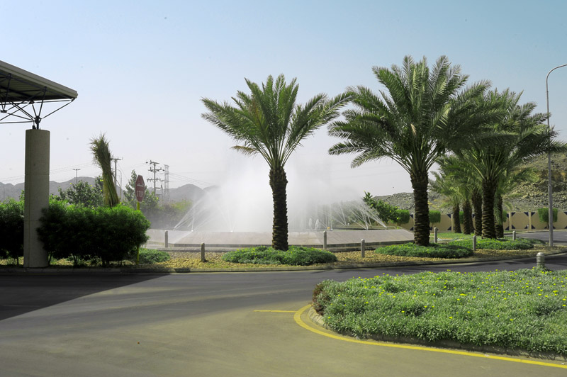 old gallery | Najran Cement Company